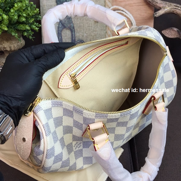 Louis Vuitton N41370 Speedy 30 Damier Azur Canvas